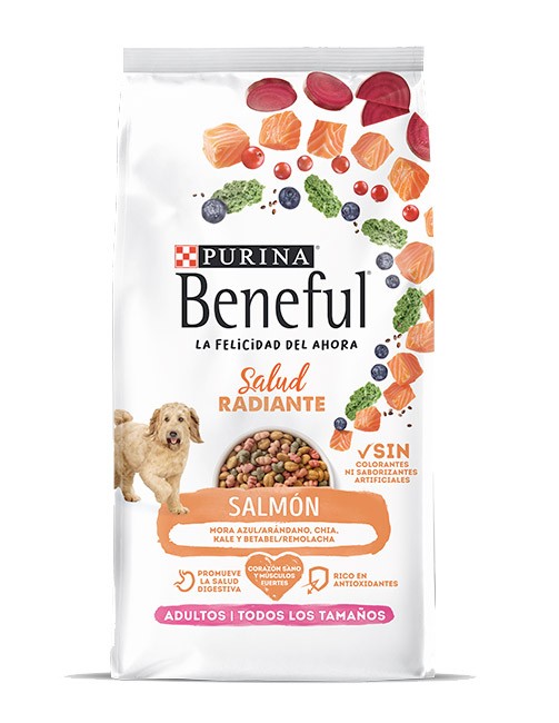 Beneful salud radiante 10 kg